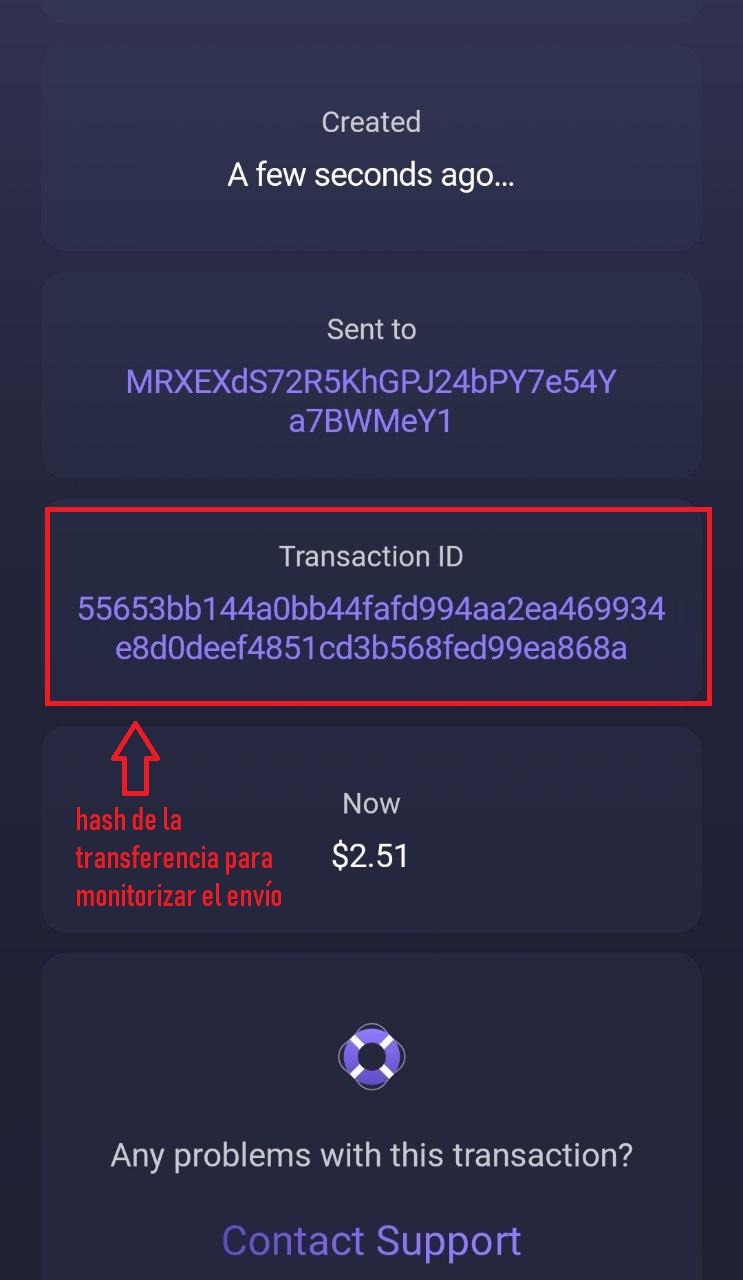 Elige la mejor wallet y aprende a utilizarla - My Satoshi World